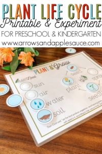Plant Life Cycle Lesson | Printable & Experiment - Arrows & Applesauce